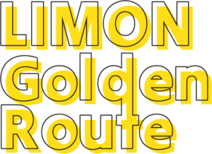 LIMON Bus Pass บัตรเหมาเดินทางด้วยบัส 7 วัน